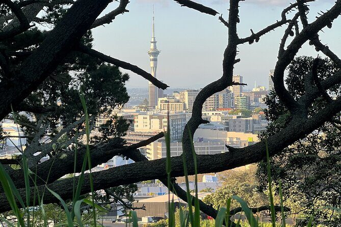 Auckland City Highlights and Hidden Gems Half Day Tour - What’s Included and What to Consider