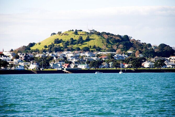 Auckland City Highlights and Hidden Gems Half Day Tour - The Experience from the Guides