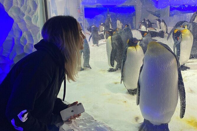 Auckland City Highlights and Hidden Gems Half Day Tour - Final Thoughts: Is This Tour Worth It?