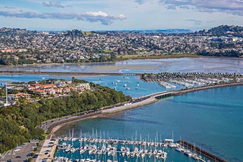 Auckland: City Highlights and Native Forest Experience - Who Should Book This Tour?