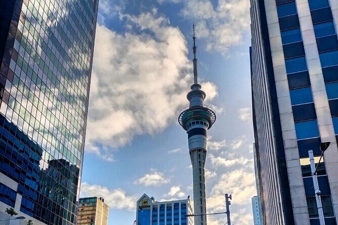 Auckland City Highlights Full Day Tour - The Sum Up