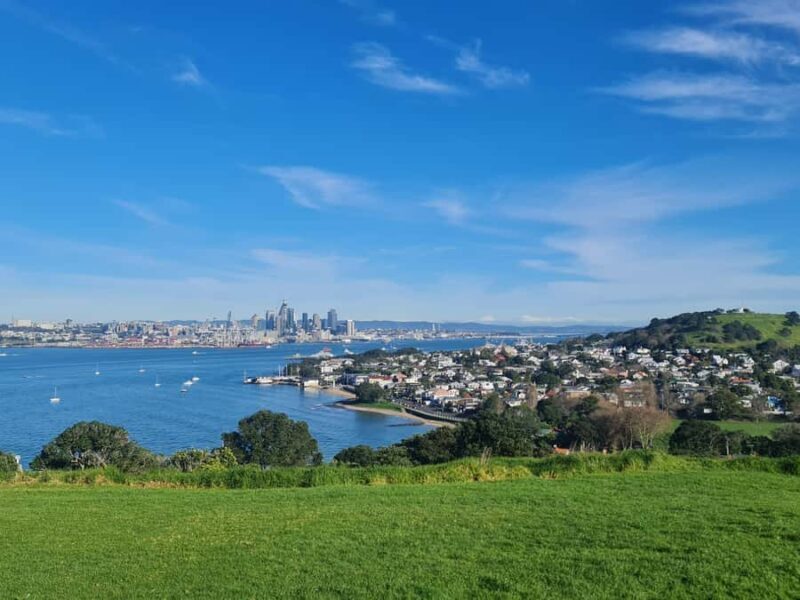 Auckland City Highlights Half Day Tour - Key Points