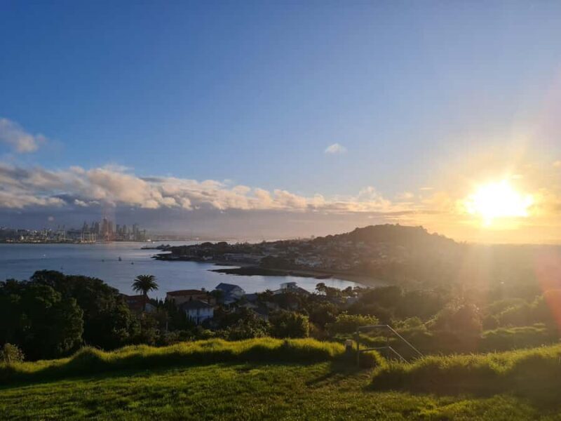 Auckland City Highlights Half Day Tour - What Makes This Tour Stand Out?