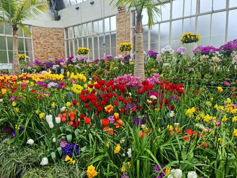 Auckland City Highlights Half Day Tour - Transportation and Group Size