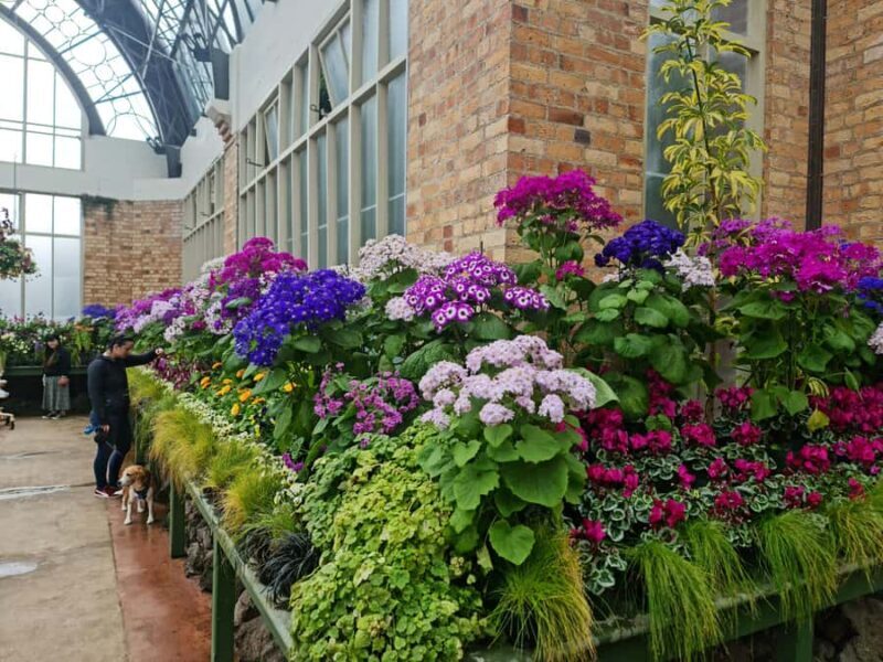 Auckland City Highlights Half Day Tour - FAQ