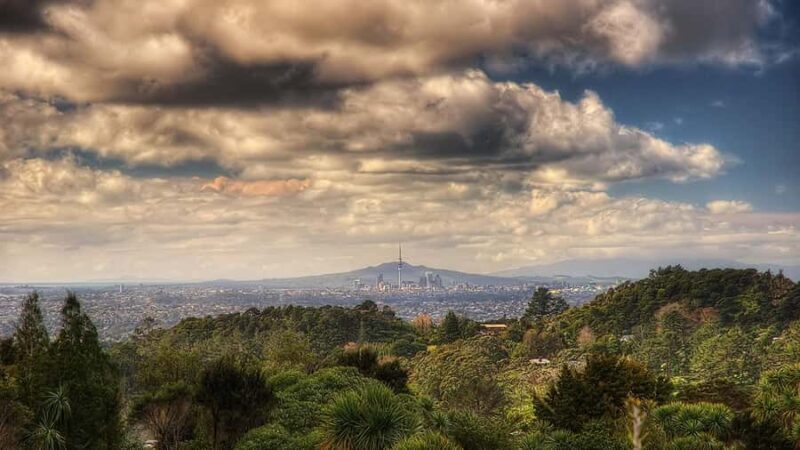 Auckland City Highlights Small-Group Tour (Half-Day) - What Makes This Tour Stand Out?