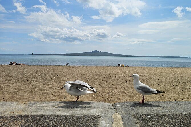 Auckland City Highlights Tour - Who Would Love This Tour?