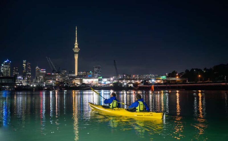 Auckland: City Lights Night Kayak Tour - What You Can Expect on the Tour