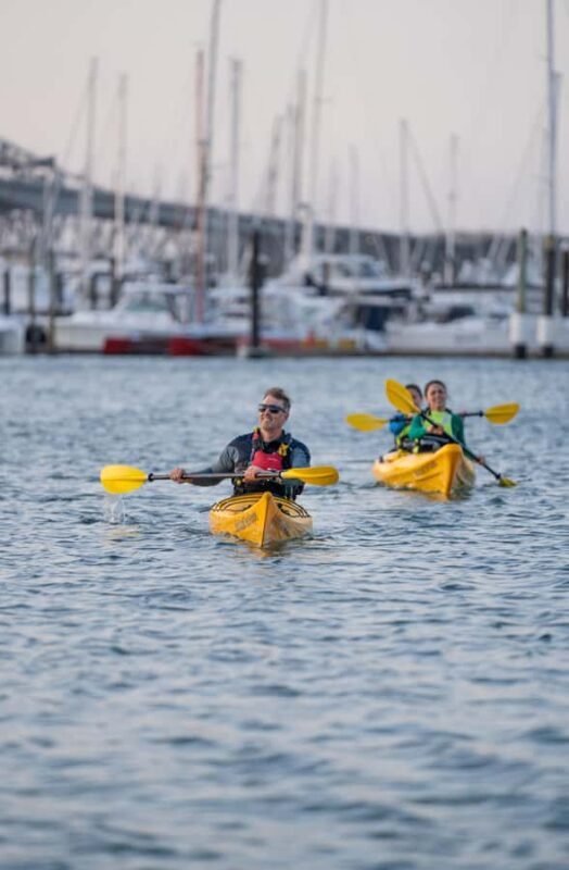 Auckland: City Lights Night Kayak Tour - Why It’s Worth the Price