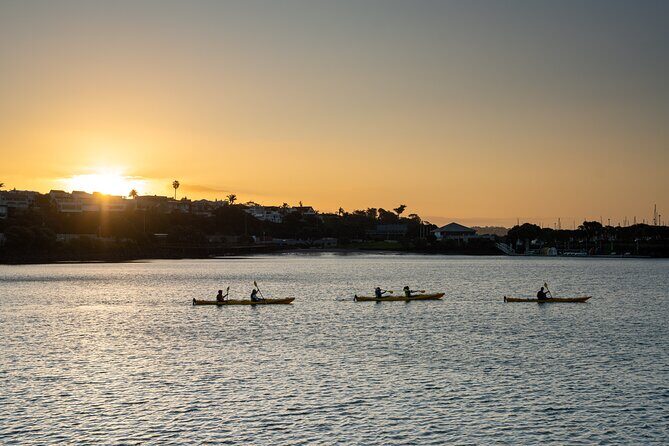 Auckland City Lights Night Kayaking Tour - Practical Tips for Your Night Kayaking Experience