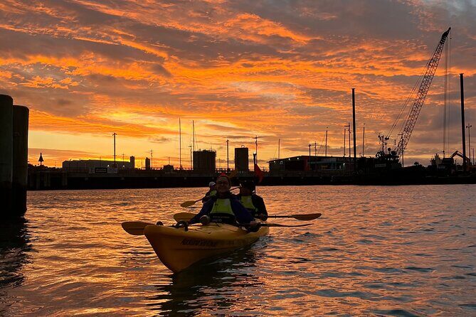 Auckland City Lights Night Kayaking Tour - Frequently Asked Questions