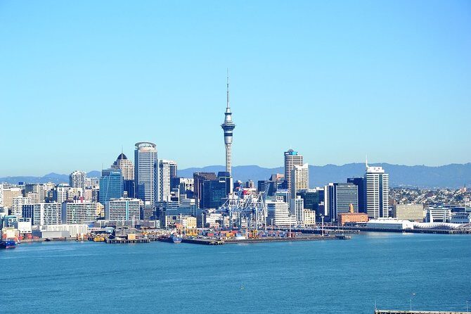Auckland City & Native Forest Experience - Fully Guided Day Tour - An In-Depth Look at the Tour