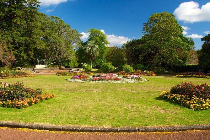 Auckland City & Native Forest Experience - Fully Guided Day Tour - Final Words