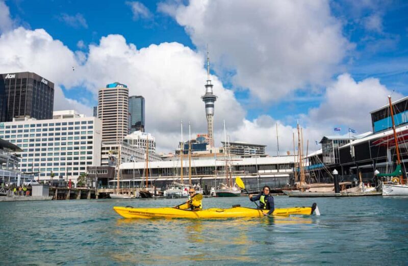Auckland: City Scenes Kayak Tour - What to Expect on the Tour