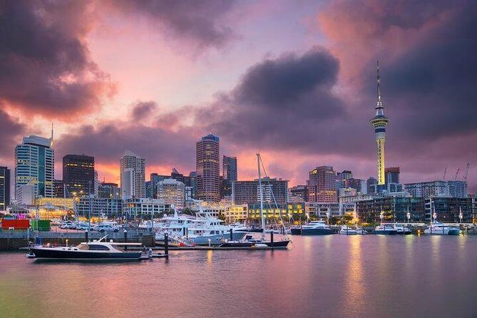 Auckland City Scenic Tour - The Sum Up: Is This Tour Right for You?