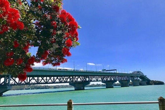 Auckland City Scenic Tour - Final Thoughts