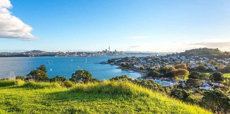 Auckland: Coast to Coast Private Eco Tour - What Makes This Tour Stand Out?