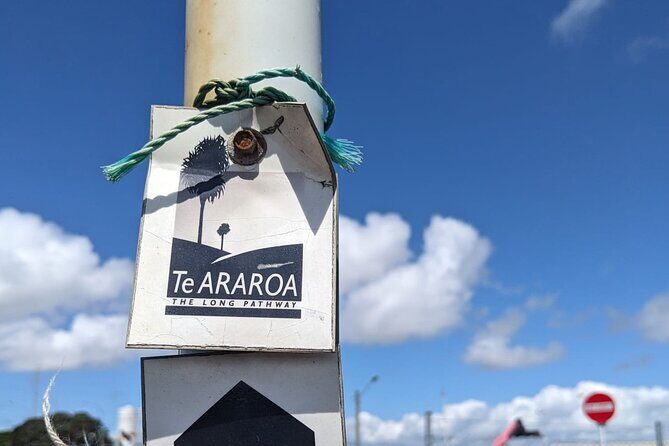 Auckland Coast to Coast tour - Why This Tour Works Well