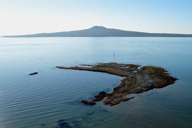 Auckland Coastal Experience - Small Group City & Beach Tour Incl. Wine Tasting - An In-Depth Look at the Tour Experience