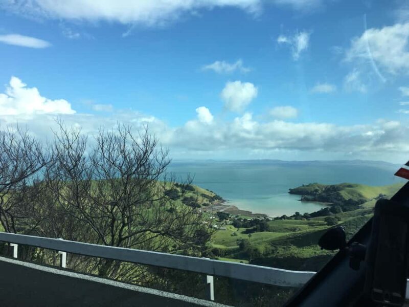 Auckland: Coromandel Beach, Caves & Forest Private Tour - Key Points