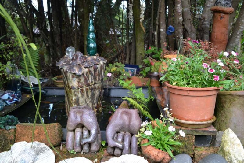 Auckland: Coromandel Beach, Caves & Forest Private Tour - Final Thoughts