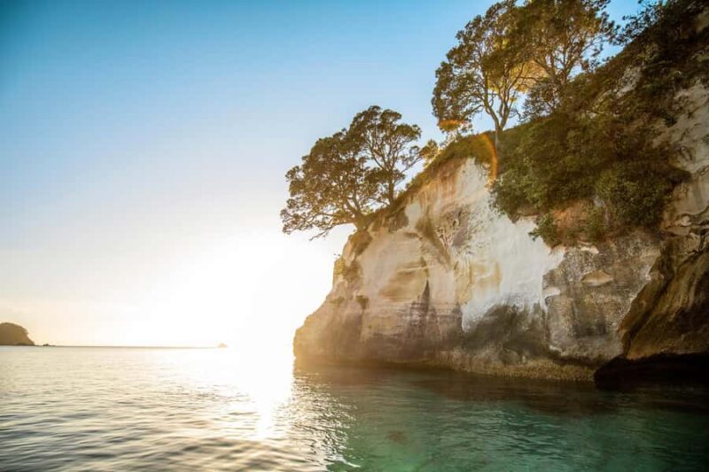 Auckland: Coromandel Driving Creek & Cathedral Cove Day Tour - Final Thoughts