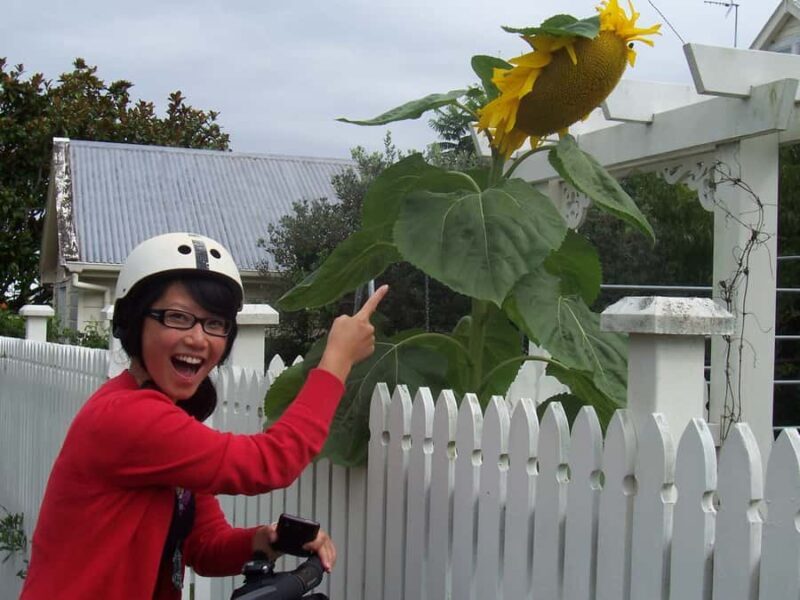 Auckland: Devonport Village Segway Tour - Introduction