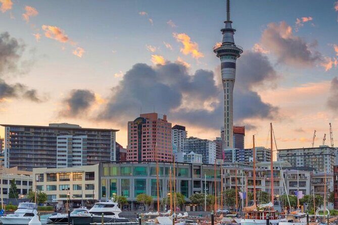 Auckland Downtown Hotel Transfers to/from Cruise Ship in Minivan - Who Should Book This Transfer?