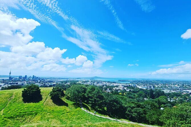 Auckland Full Day Attractions & Museums Tour - Holy Trinity Cathedral: Architectural and Spiritual Charm