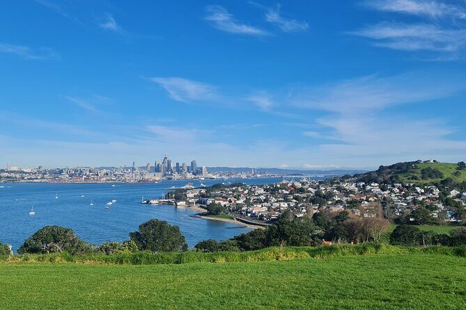 Auckland Full Day Attractions & Museums Tour - What the Reviews Say