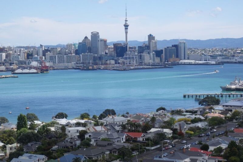 Auckland: Full-Day City Highlights Tour - The Sum Up