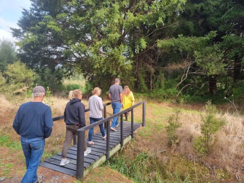 Auckland: Full-Day Jade Carving, Honey Tasting & Wine Tour - Wine Tasting & Scenic Lunch