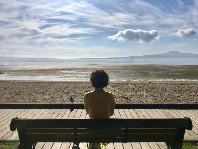 Auckland: Half-Day Auckland Volcanoes Tour - An Honest Look at an Impressive Auckland Experience