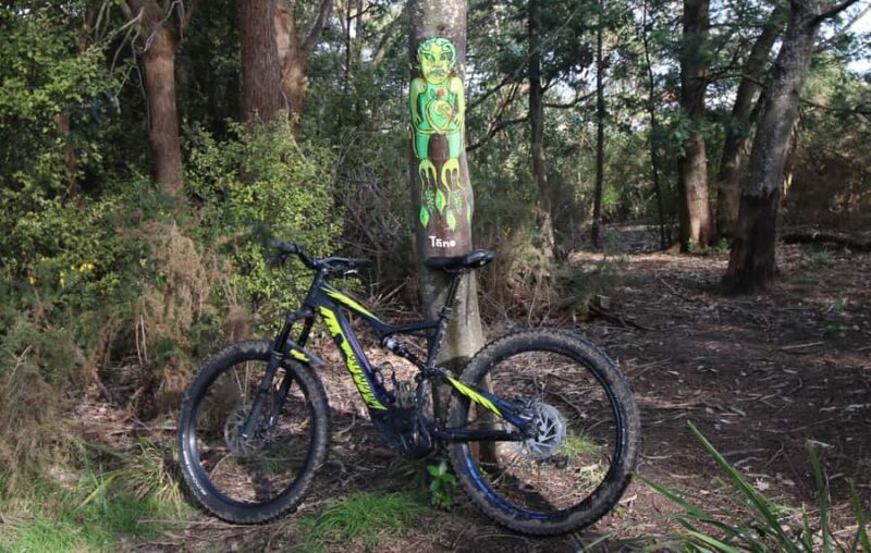 Auckland Half-Day Ebike Tour Excursion - Practical Tips for Your Ride