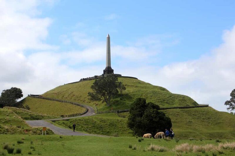 Auckland: Half-Day Private City Highlights Tour