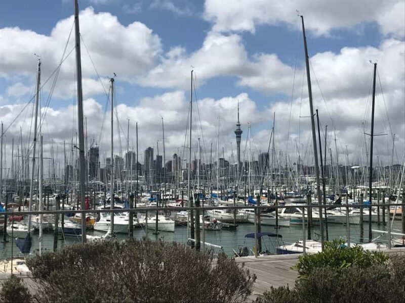 Auckland: Half-Day Private City Highlights Tour - Key Points