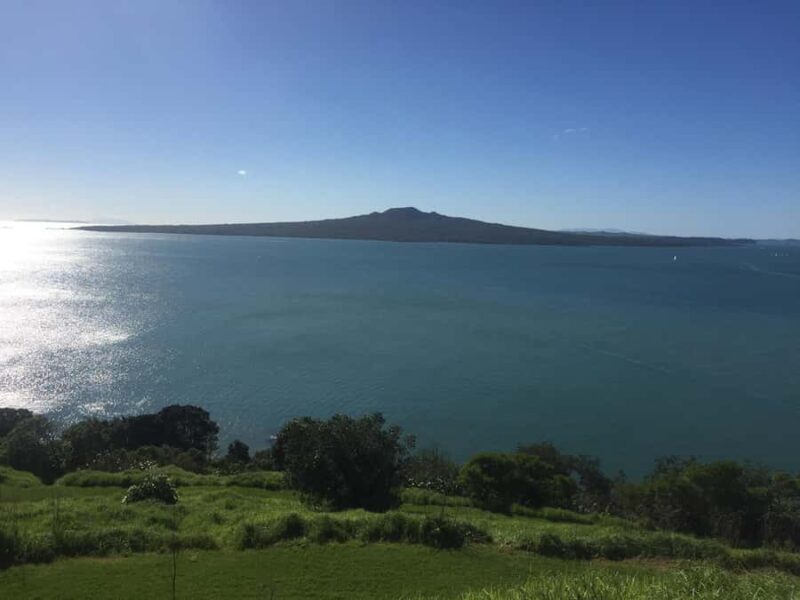 Auckland: Half-Day Private City Highlights Tour - Transportation and Group Size