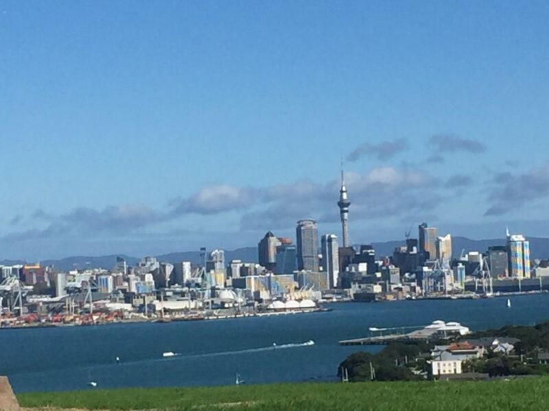 Auckland: Half-Day Private City Highlights Tour - The Value of This Tour