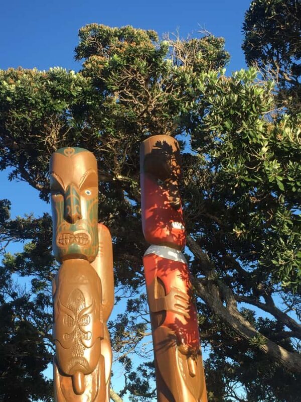 Auckland: Half-Day Private City Highlights Tour