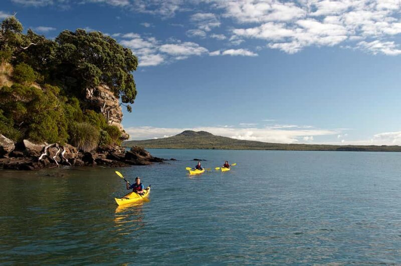 Auckland: Half-Day Sea Kayak Tour to Motukorea Island - Key Points