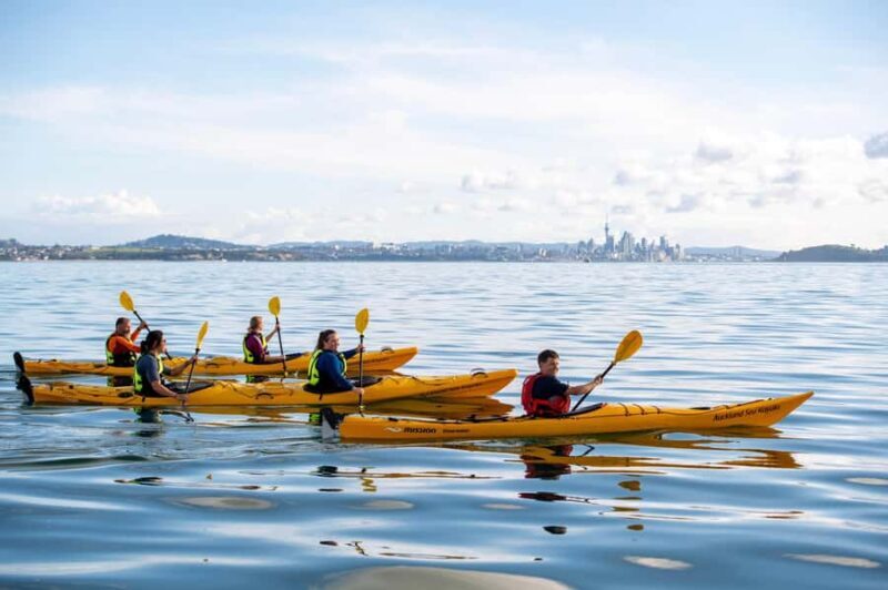 Auckland: Half-Day Sea Kayak Tour to Motukorea Island - FAQ