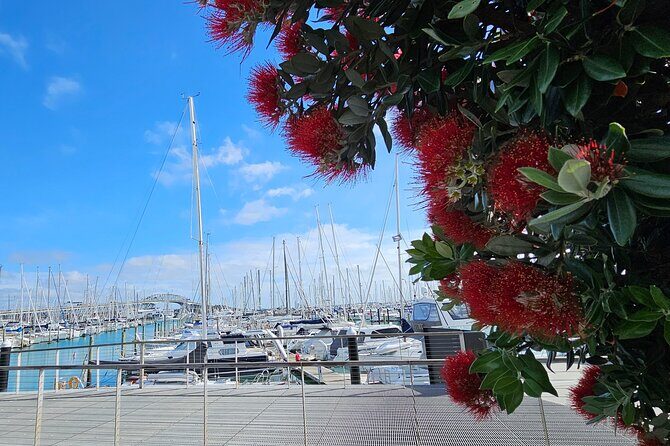 Auckland Halfday Private Guided Tour - Exploring the Itinerary in Detail