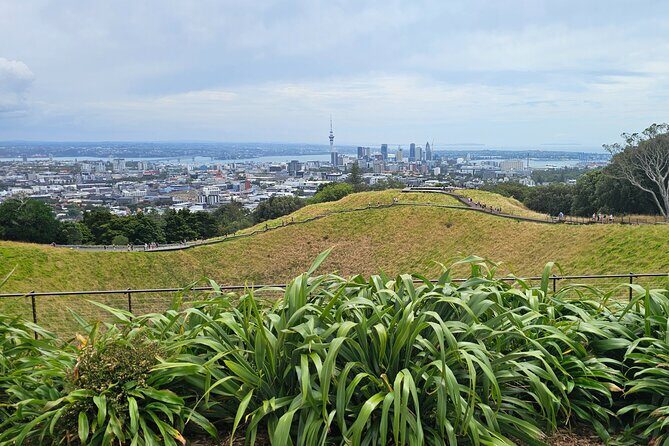 Auckland Halfday Private Guided Tour - Final Thoughts: Is This Tour Right for You?