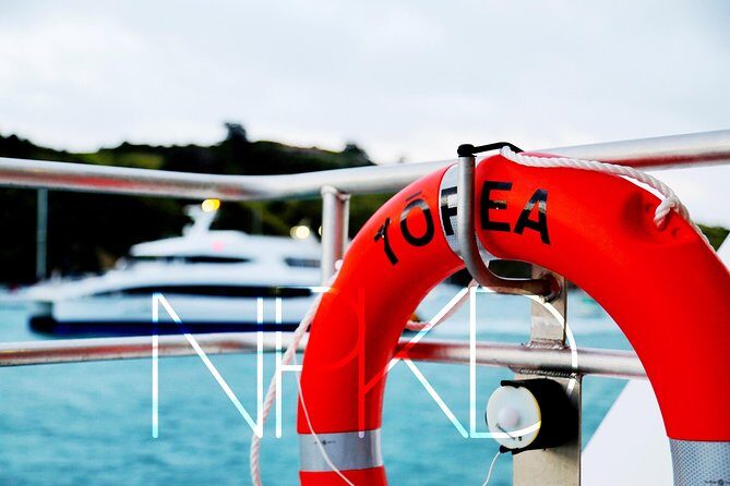 Auckland Harbour Cruise - Pricing and Value for Money