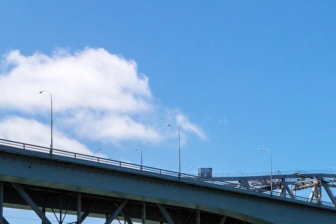 Auckland Harbour Cruise - Who Should Take This Tour?