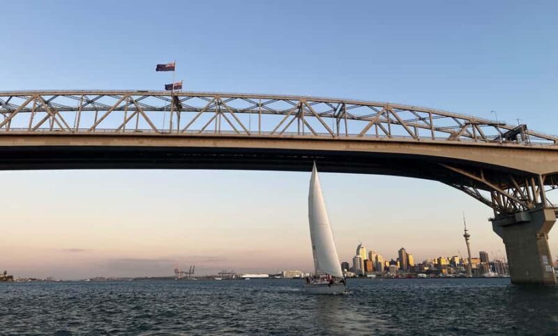 Auckland: Harbour Sailing Cruise with 3-Course Dinner - The Sum Up