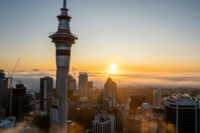 Auckland Highlight Attractions Small Group Tour - Practical Information