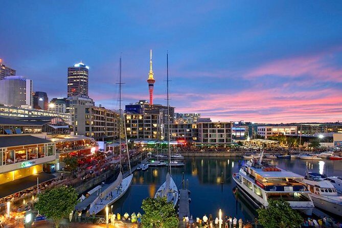 Auckland Highlights 4 Hrs city Tour - Key Points