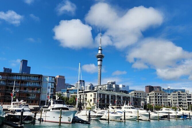 Auckland Highlights Full Day Guided Tour - Key Points