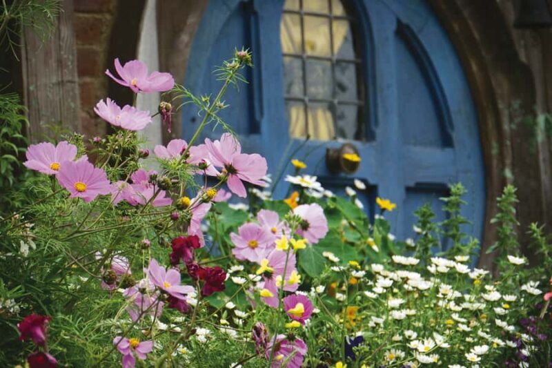 Auckland: Hobbiton and Rotorua Day Tour including Te Puia - The Full Experience: What’s Included and What to Expect